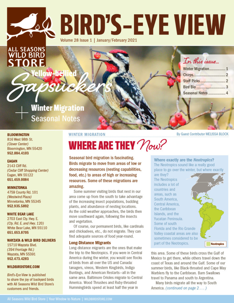 Bird’s-Eye View Newsletter Archives - All Seasons Wild Bird Store