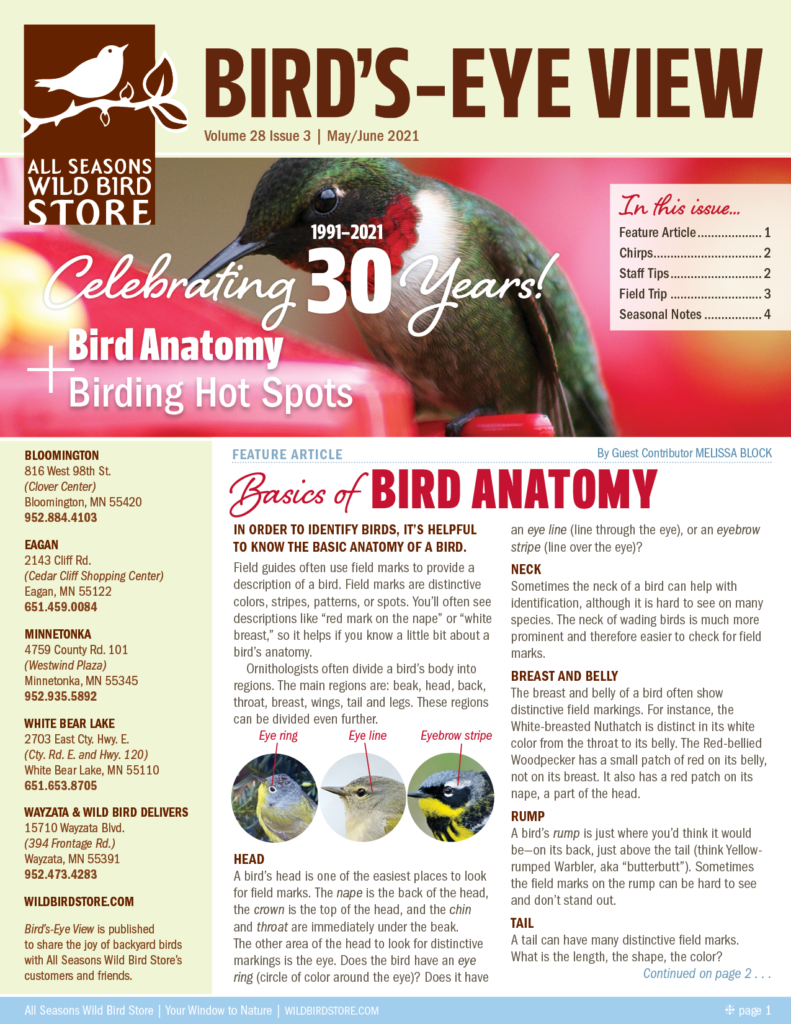 Bird’s-Eye View Newsletter Archives - All Seasons Wild Bird Store