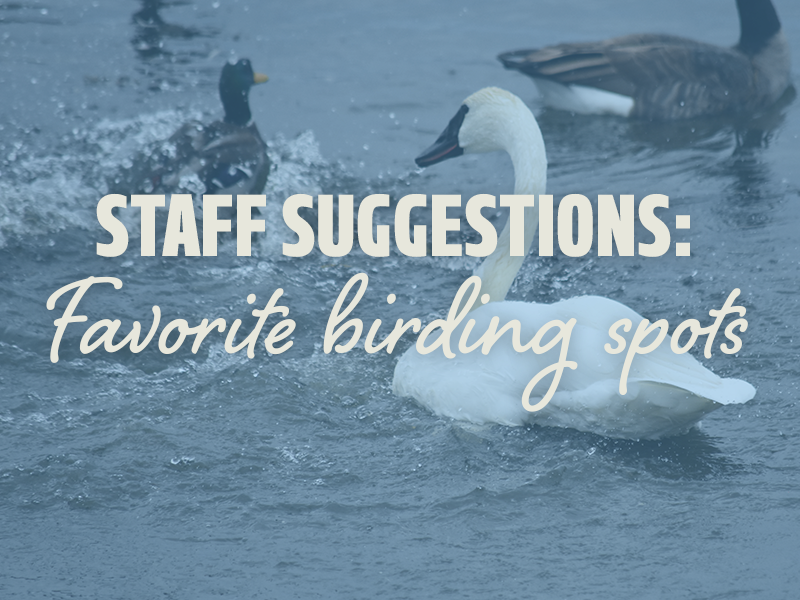 Our Staff's Favorite Birding Spots - All Seasons Wild Bird Store