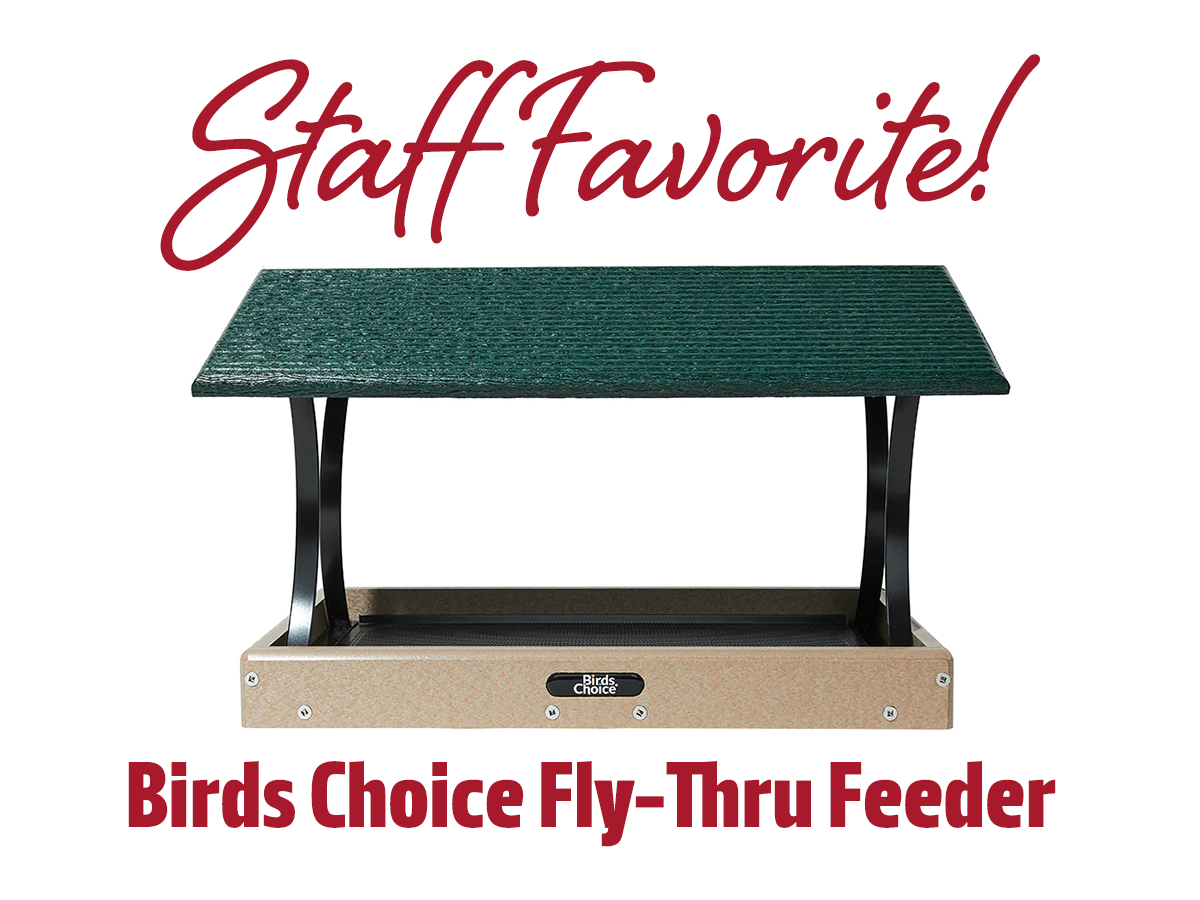 Staff Favorite: Birds Choice Medium Fly-Thru Feeder - All Seasons Wild ...