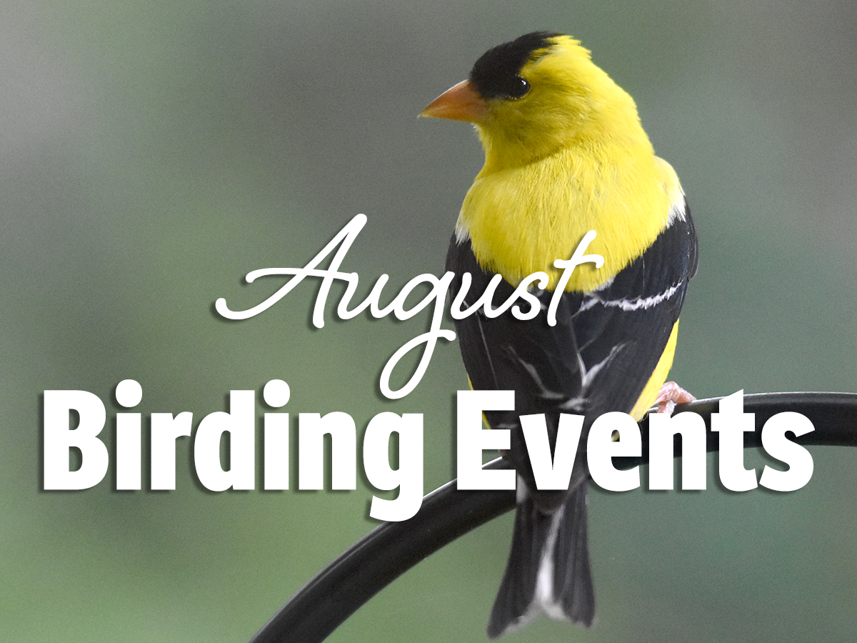 August 2025 Birding Events - All Seasons Wild Bird Store